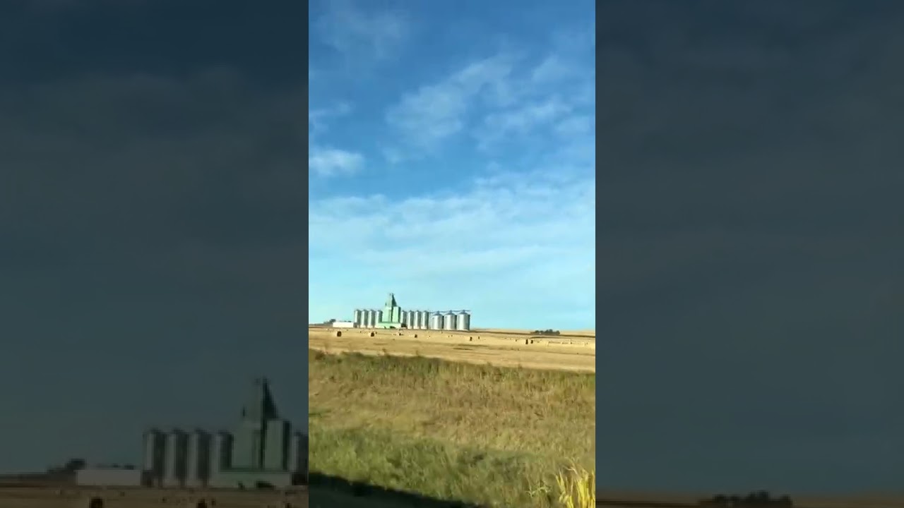 The ‘Hey Bale’ #heybale #short #alberta - YouTube