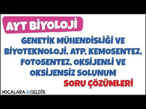 Genetik Mühendisliği ve Biyoteknoloji, ATP, Fotosentez, Kemosentez, Oksijenli ve Oksijensiz Solunum