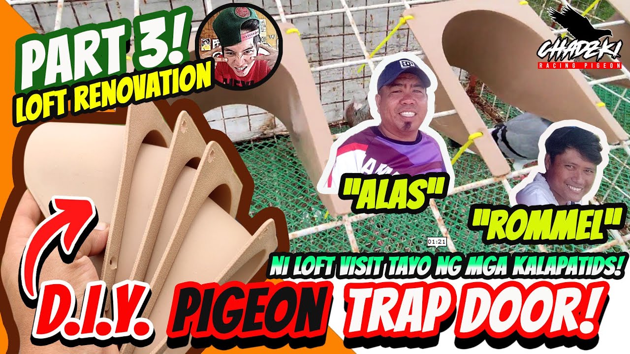 Paano gumawa ng DIY na Trap Door ng Kalapati - YouTube