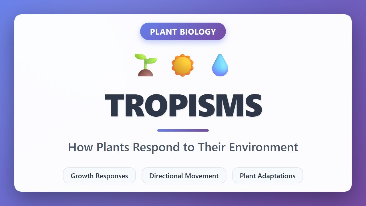Tropisms: How Plants Respond to Light, Gravity, Water & Touch | Plant ...