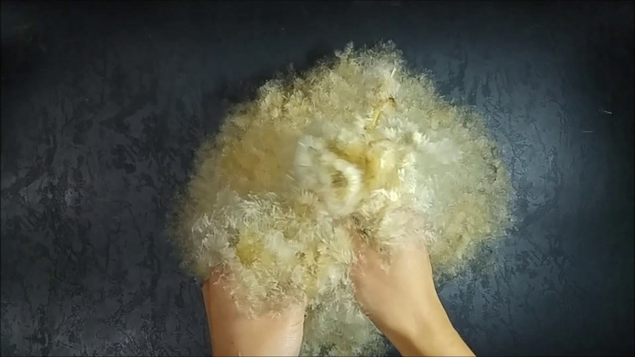Cattail - YouTube