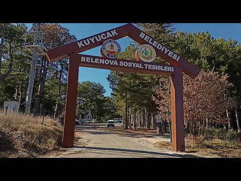 LAVANTA KOKULU MESİRE ALANI BELENOVA KUYUCAK - AYDIN I LAVENDER SCENTED RECREATION AREA