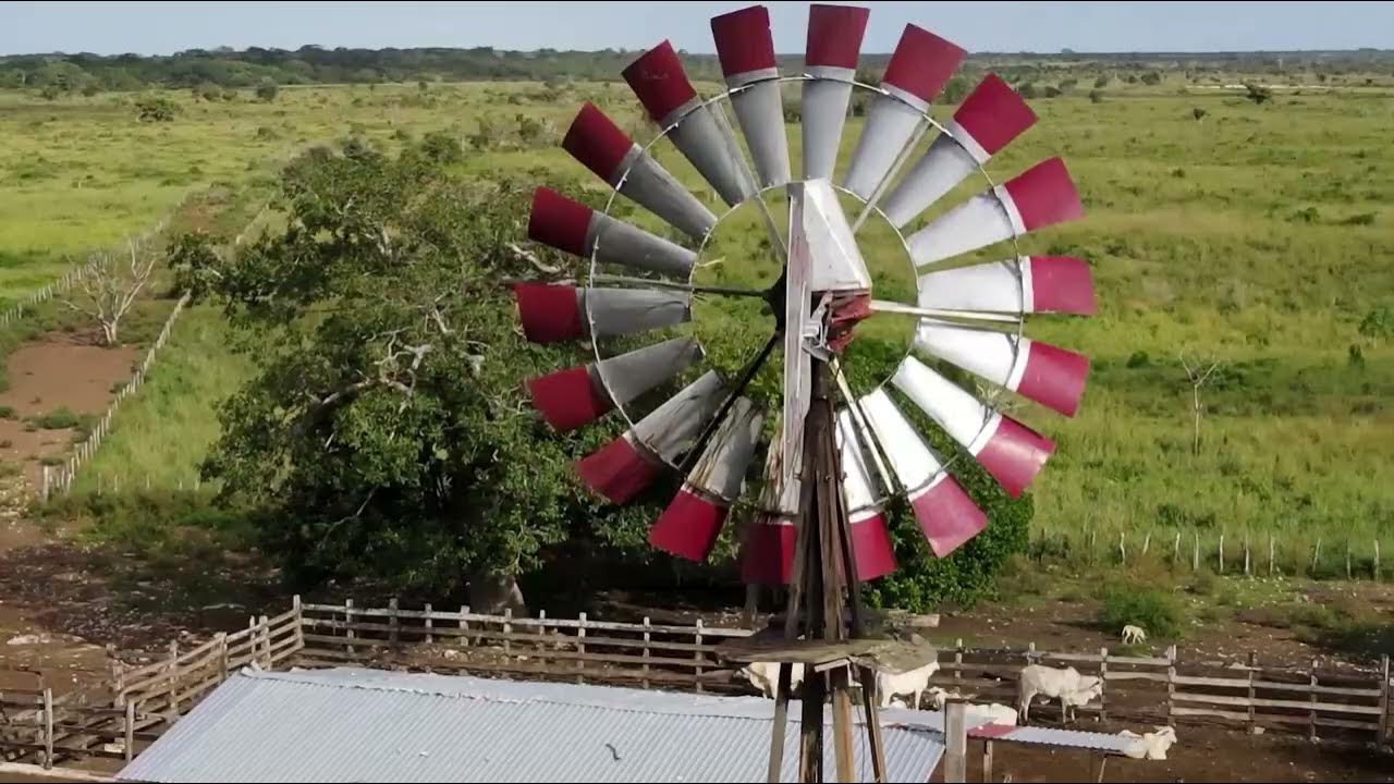 RANCHO 200 HECT TIZIMIN YouTube rancho-200-hect-tizimin-youtube