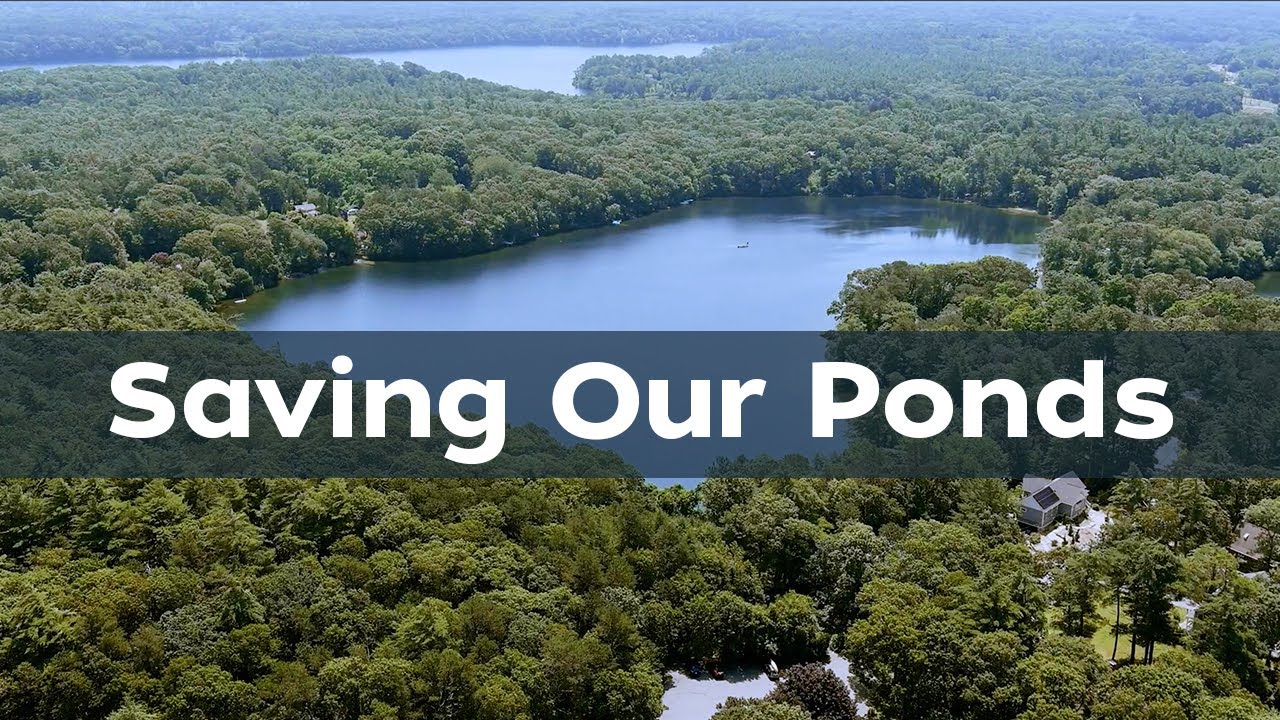 Saving Our Ponds: A Community Response - YouTube