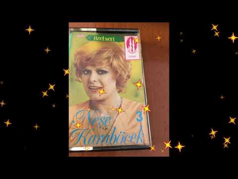 Neşe Karaböcek-1976-Her Meyhane Zindan-