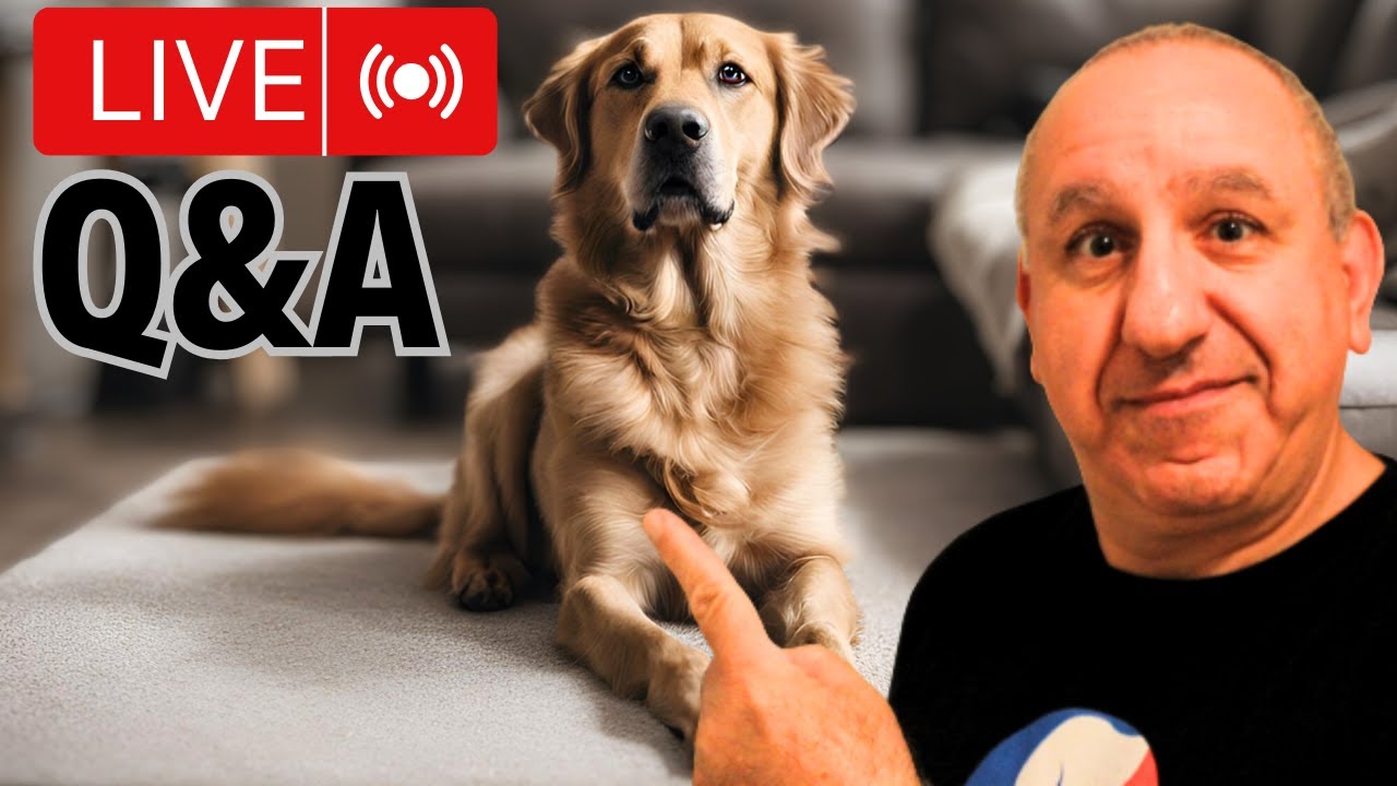 Do you want to have the ideal dog? Let me help you. - YouTube