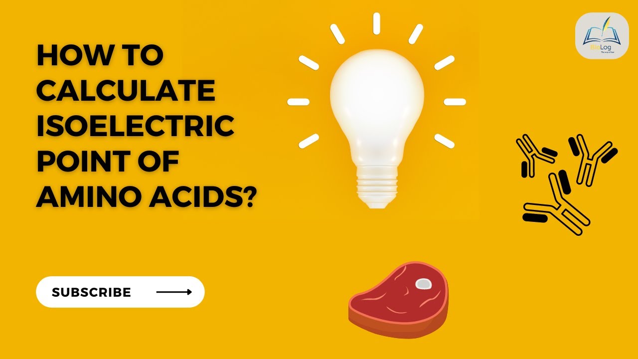 Calculation of Isoelectric Point || #csirnet #biochemistry #usha_yadav ...