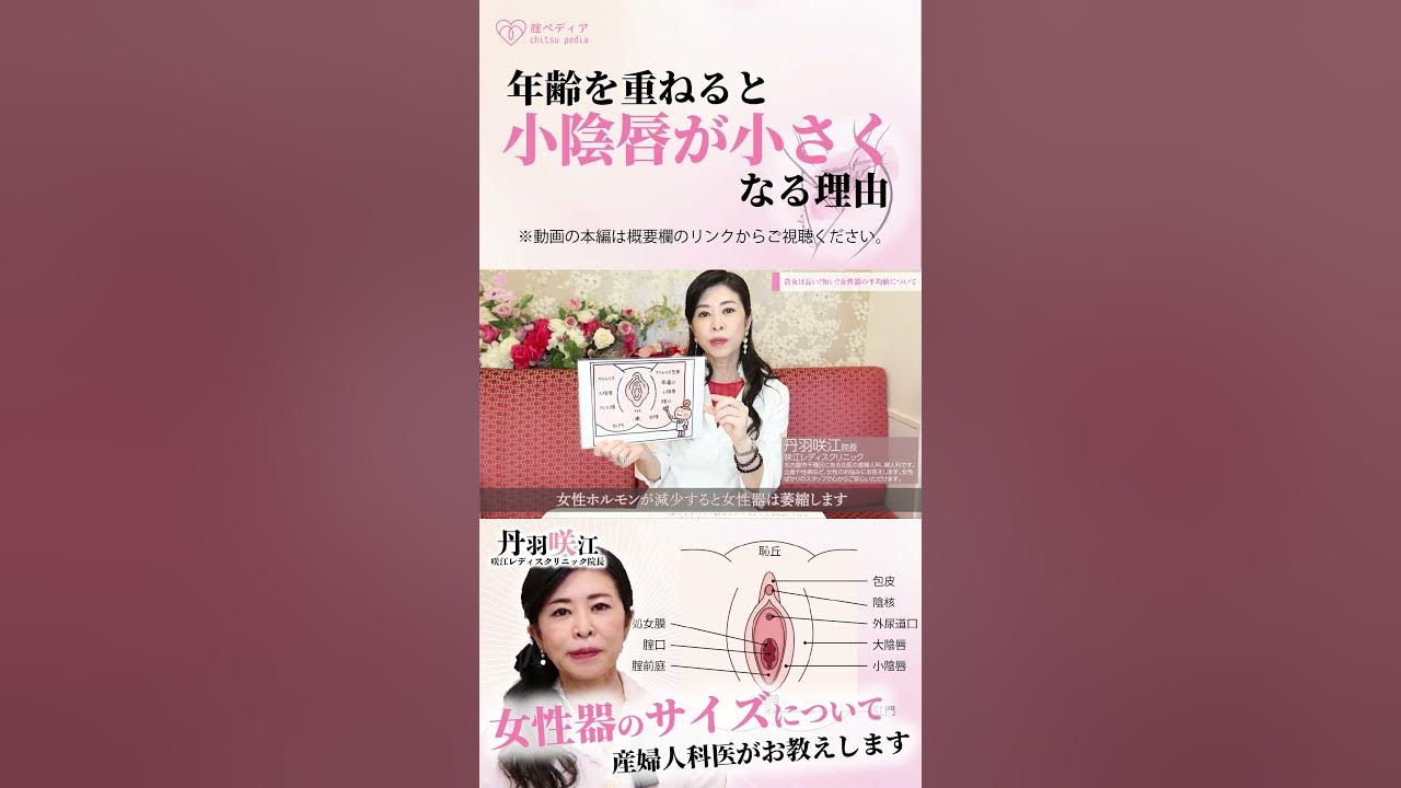 あなたの女性器のサイズは？｜年齢を重ねると小陰唇が小さくなる理由 Shorts 女性器 小陰唇 女性器形成手術 Youtube