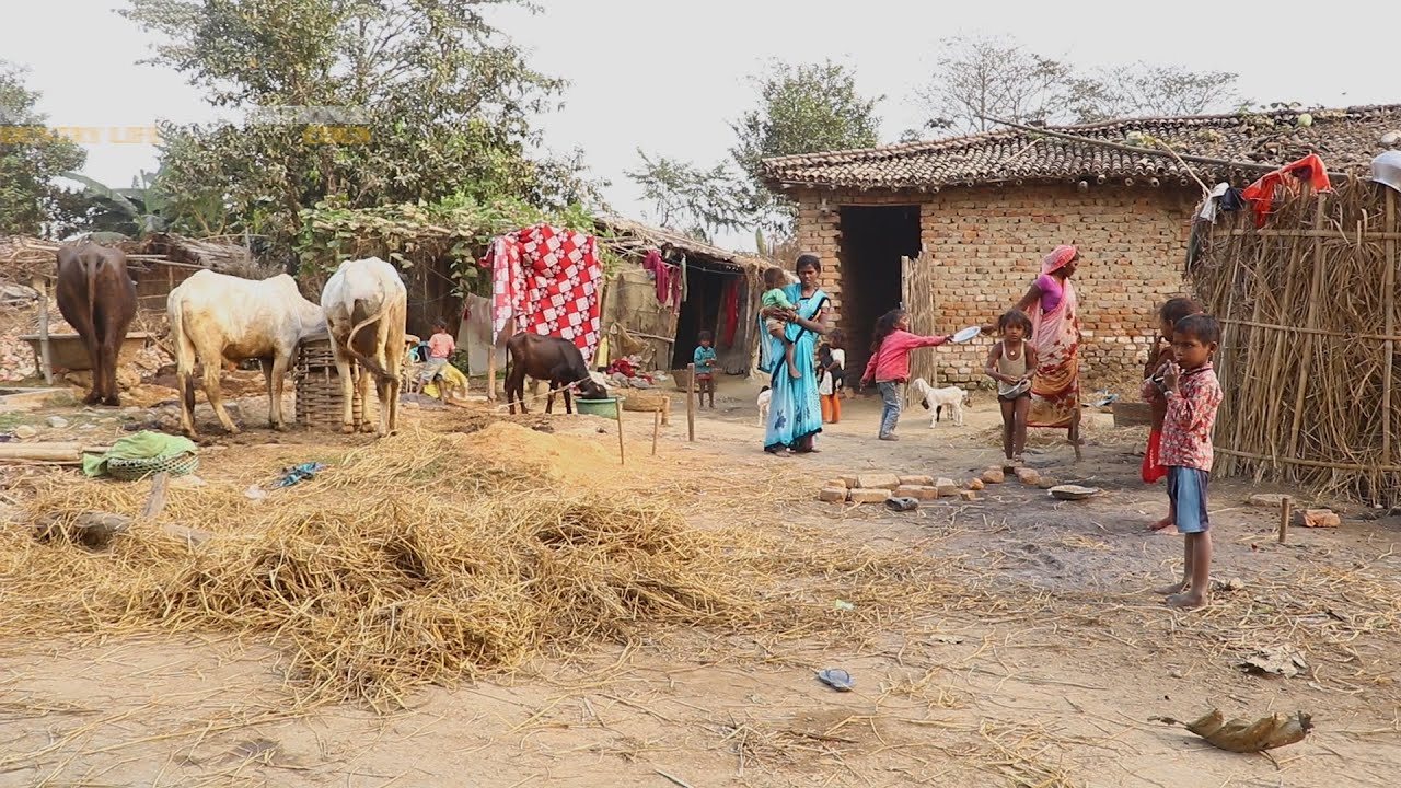 How Poor Family Survive In The Rural Village Site Of Nepal ...