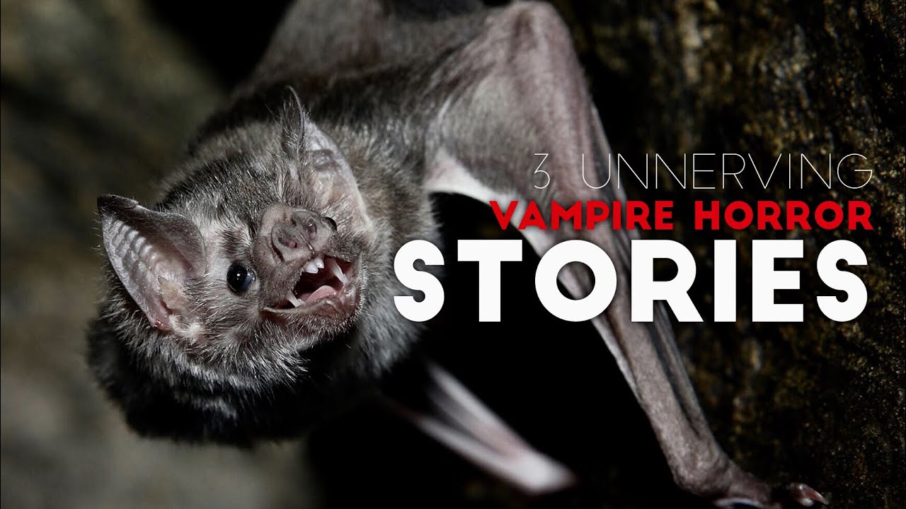 3 Unnerving Vampire Horror Stories | Haunt Stories - YouTube