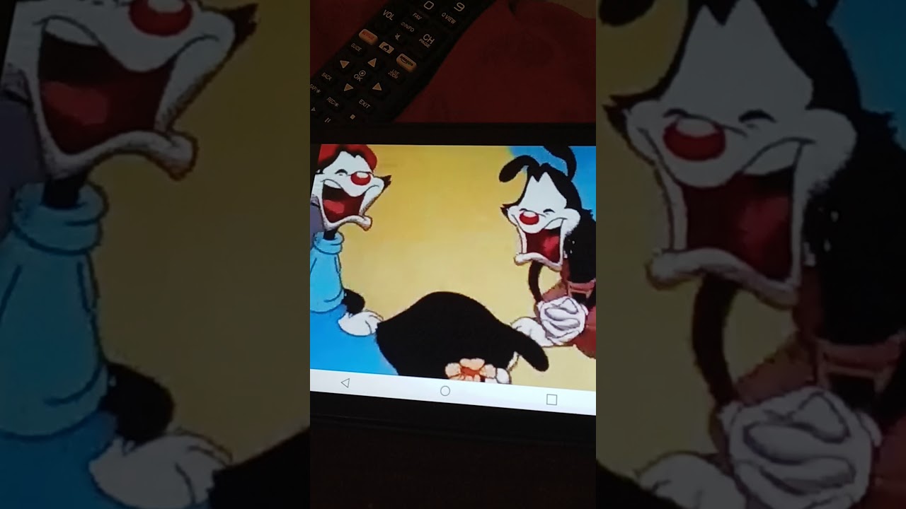 yakko, wakko, and dot crying - YouTube
