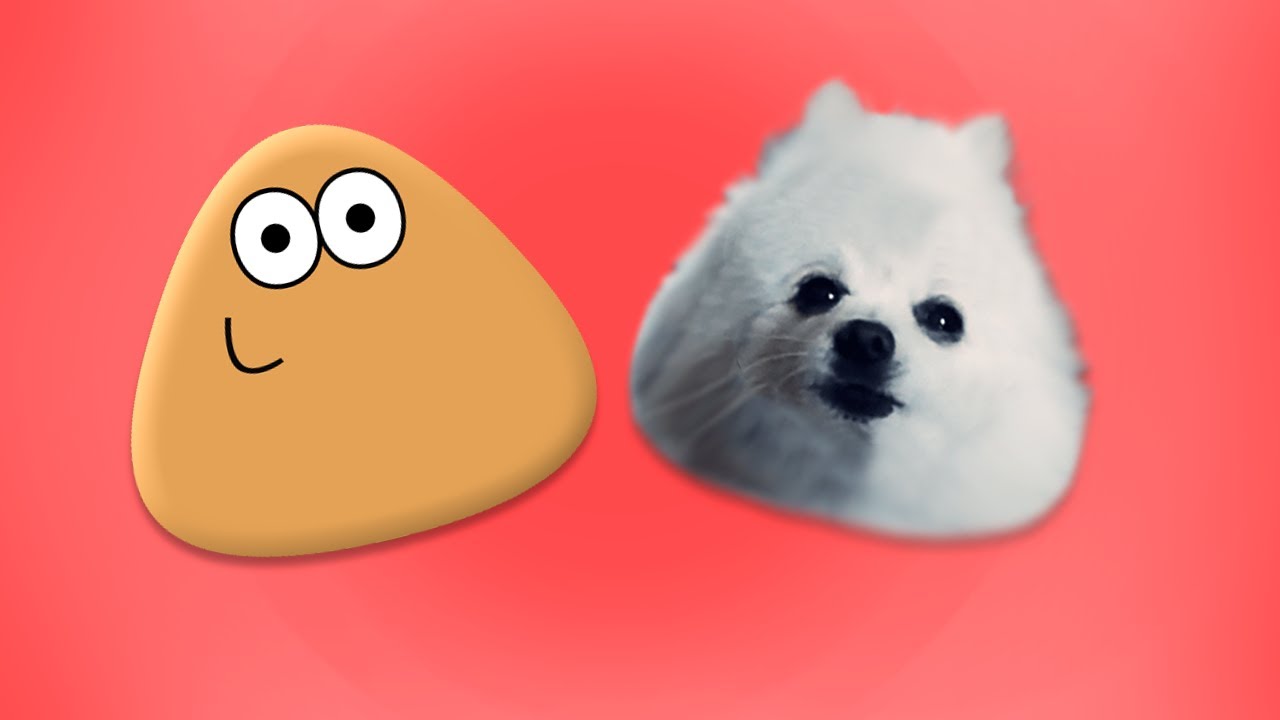 POU - Versión Perro - YouTube