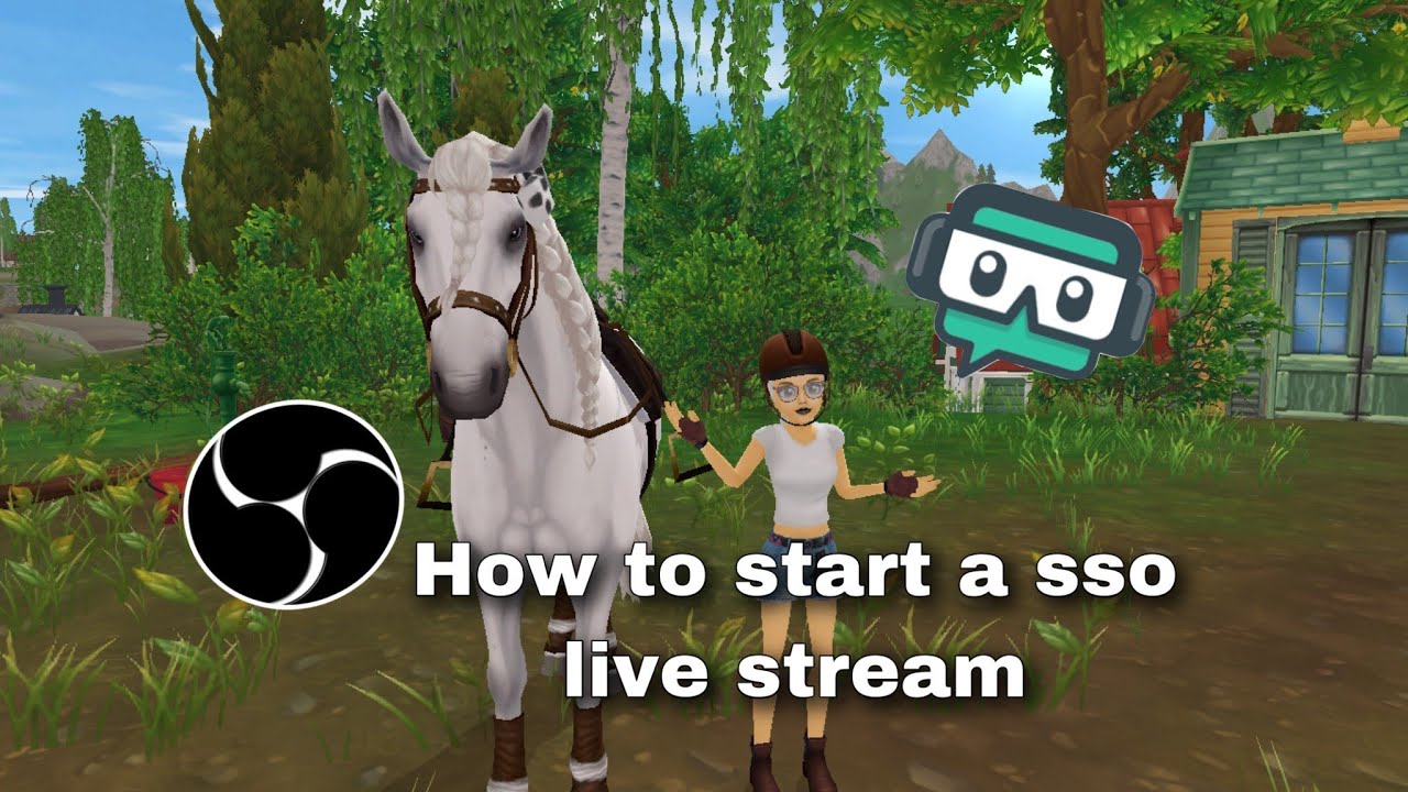 How to set up a Star Stable Live Stream! (Doreen) - YouTube