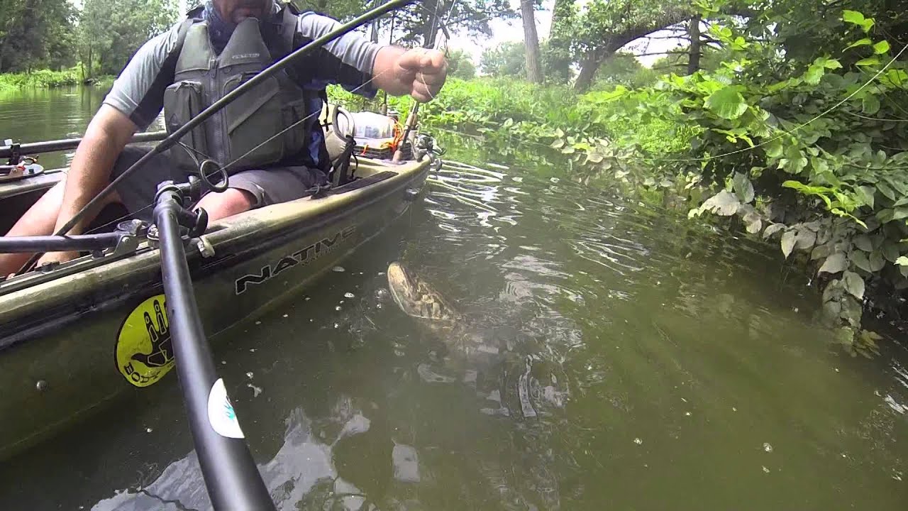 SnakeHead Bite - YouTube