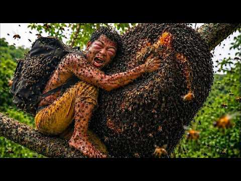Even Experienced Hunters Fear This | Giant Wild Honey Harvest Deep in the Forest!