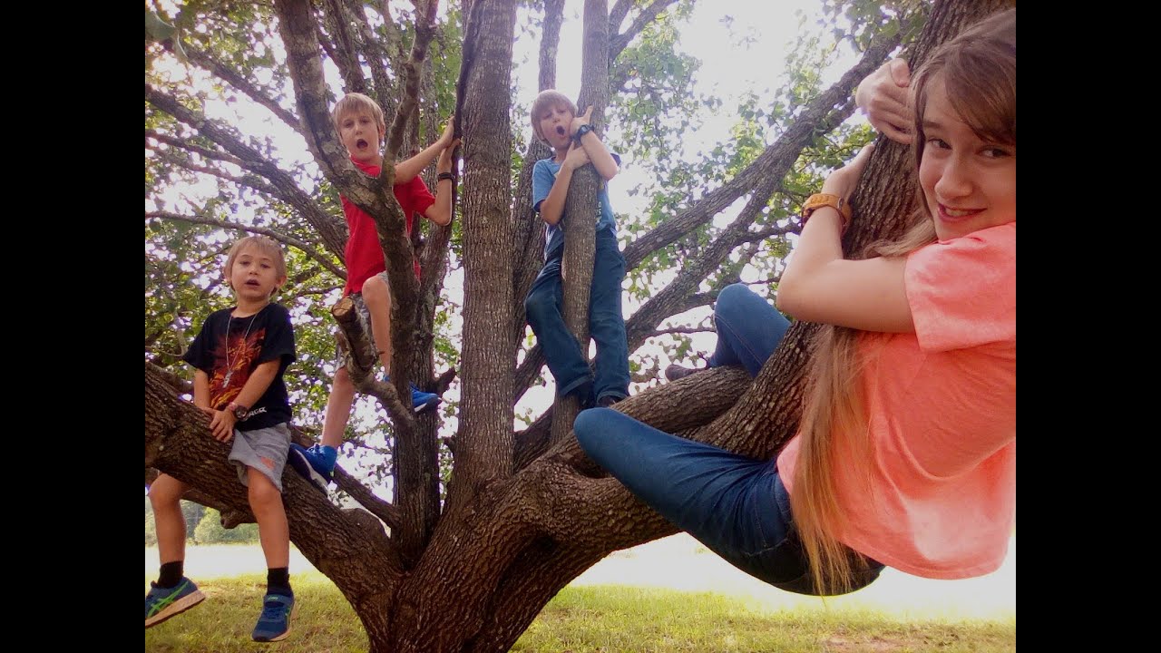 Last To Fall Out Of Tree Wins! - YouTube