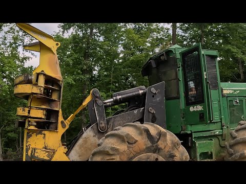 How big does a log yard need to be? Are they ever big enough for all ...