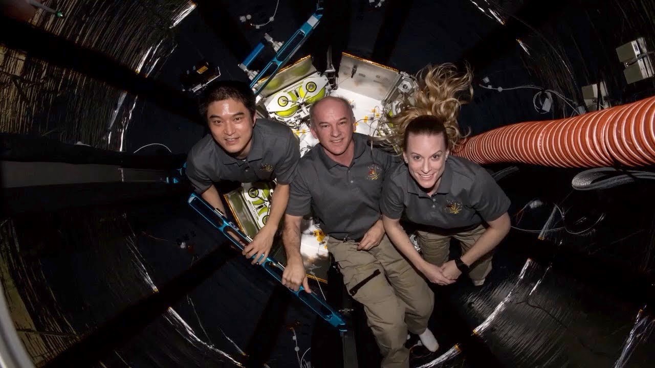 Bigelow Expandable Module Gets Extended ISS Mission | Video - YouTube