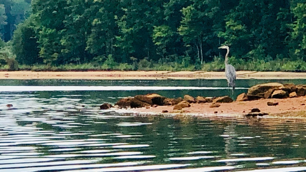 Richard B. Russell State Park and Camping Overview - YouTube