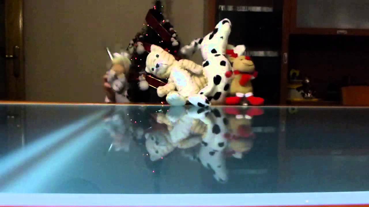 El pollito pio - Cuddly Toy Edition - YouTube