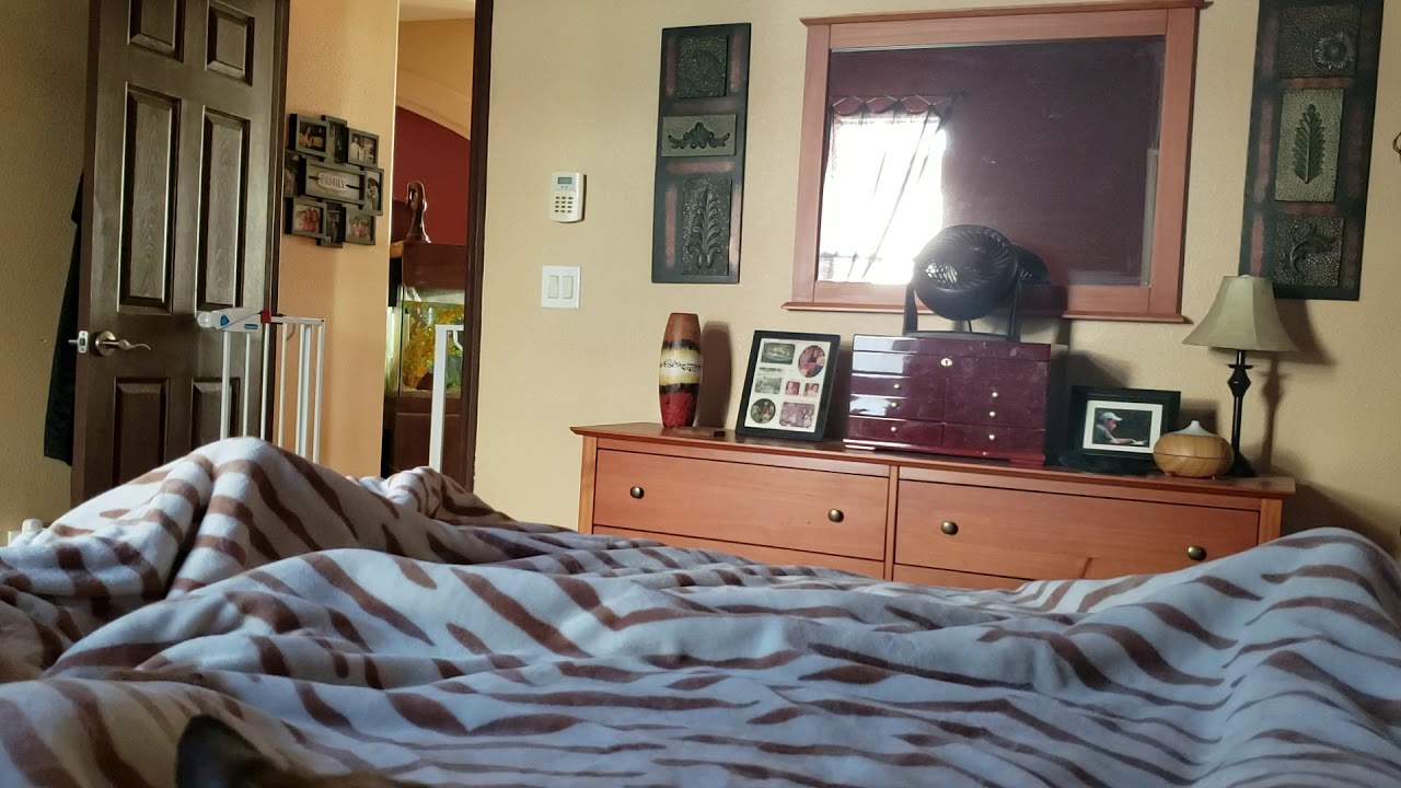 Good morning Pete and Chanel - YouTube