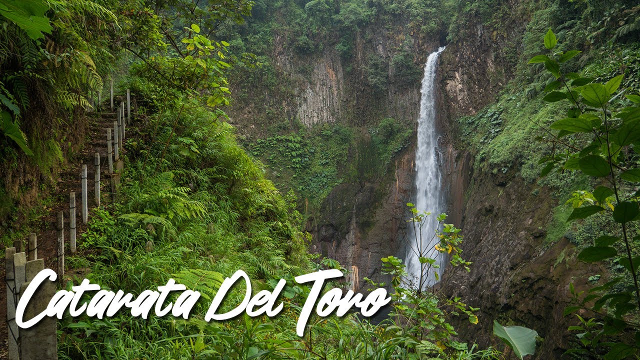Catarata Del Toro Waterfall in Costa Rica | Alajuela Province - YouTube