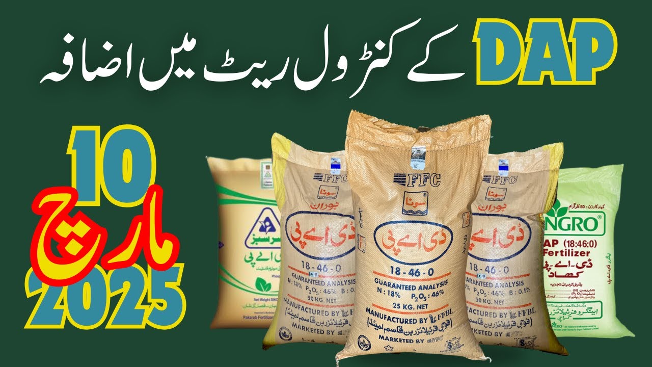 DAP New Price Increased | New Rate List DAP Khaad 2025 - YouTube
