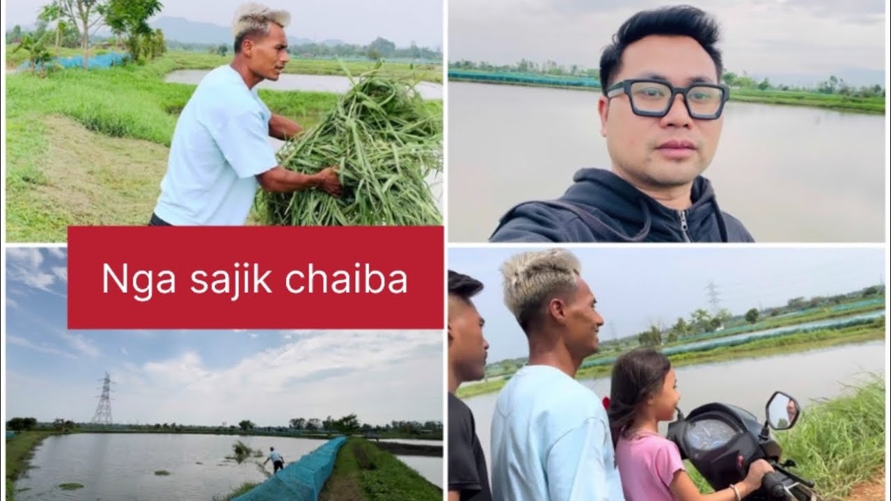 Bipin ga enaopa atombaga Farm da nga sajik chaiba eina camera namba - YouTube