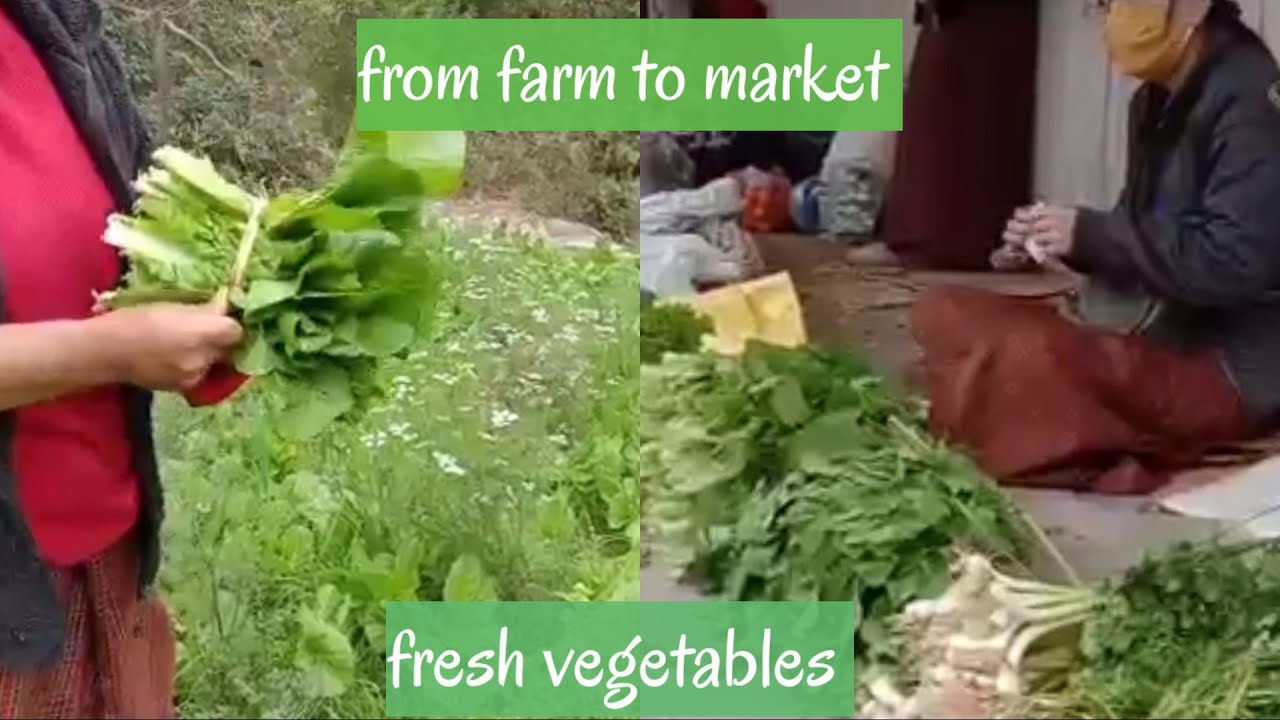 fresh vegetables from farm to markets. #rurallife #bhutan # ...