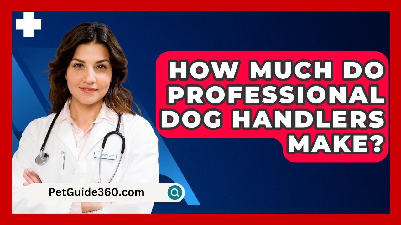 How Much Do Professional Dog Handlers Make? - PetGuide360.com - YouTube