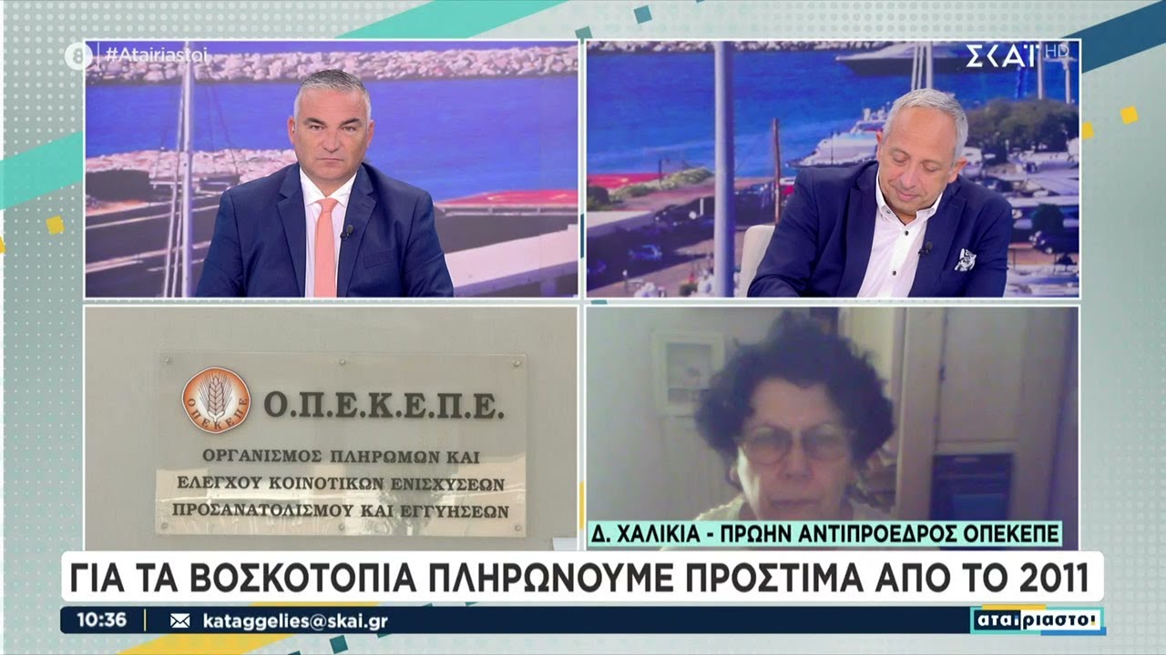 Καταγγελίες της αντιπροέδρου για τον πρώην πρόεδρο του ΟΠΕΚΕΠΕ ...