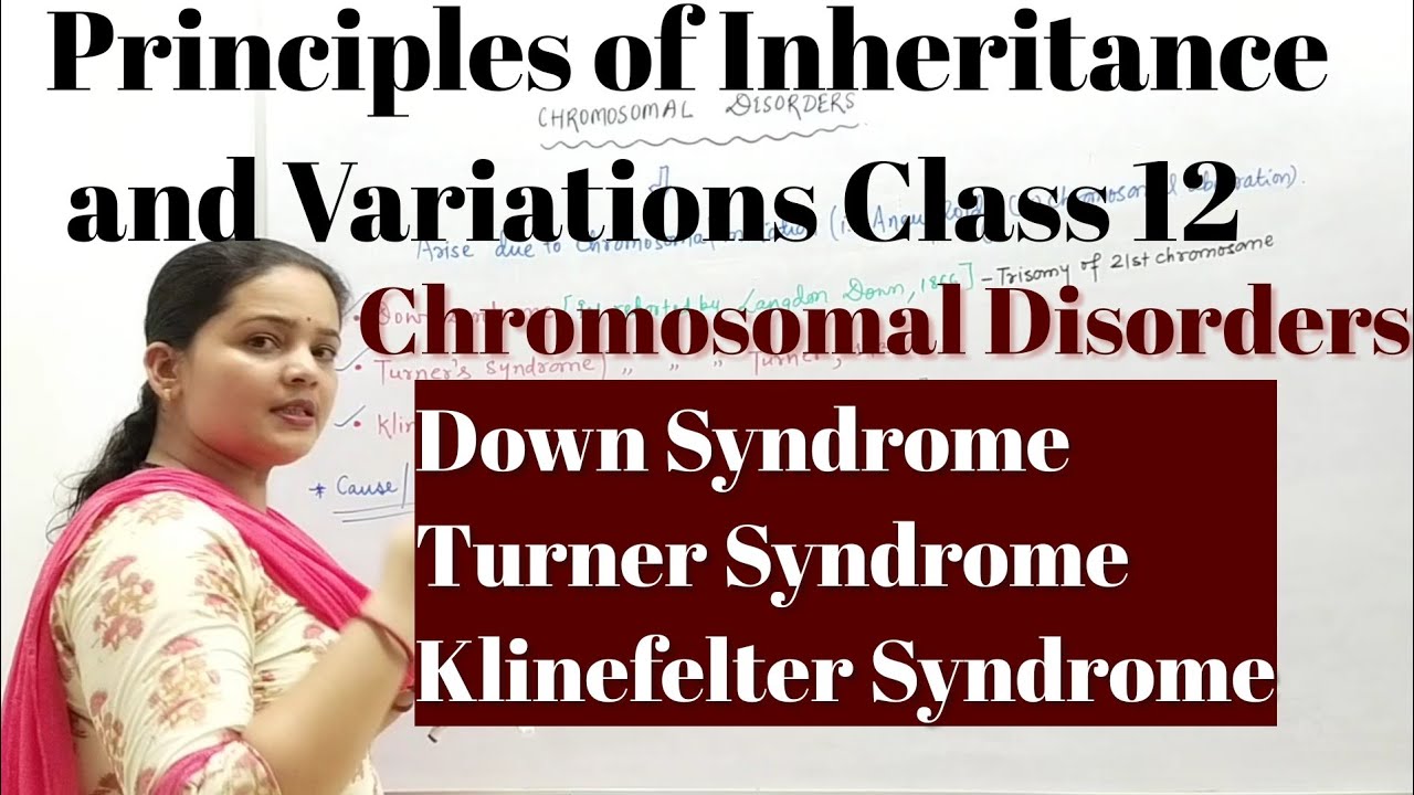 Principles Of Inheritance And Variations Class 12 Chromosomal