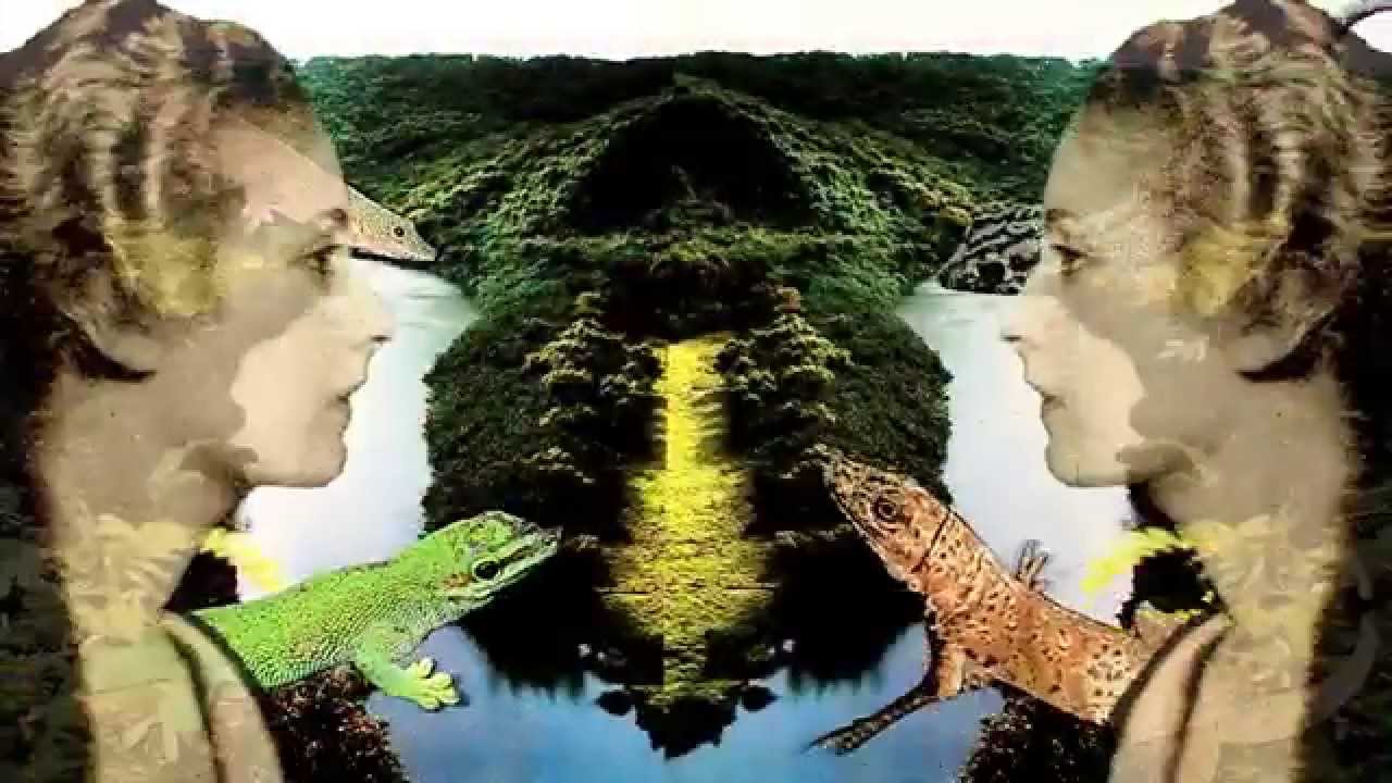 Lizard Kisses - In The Morning - YouTube