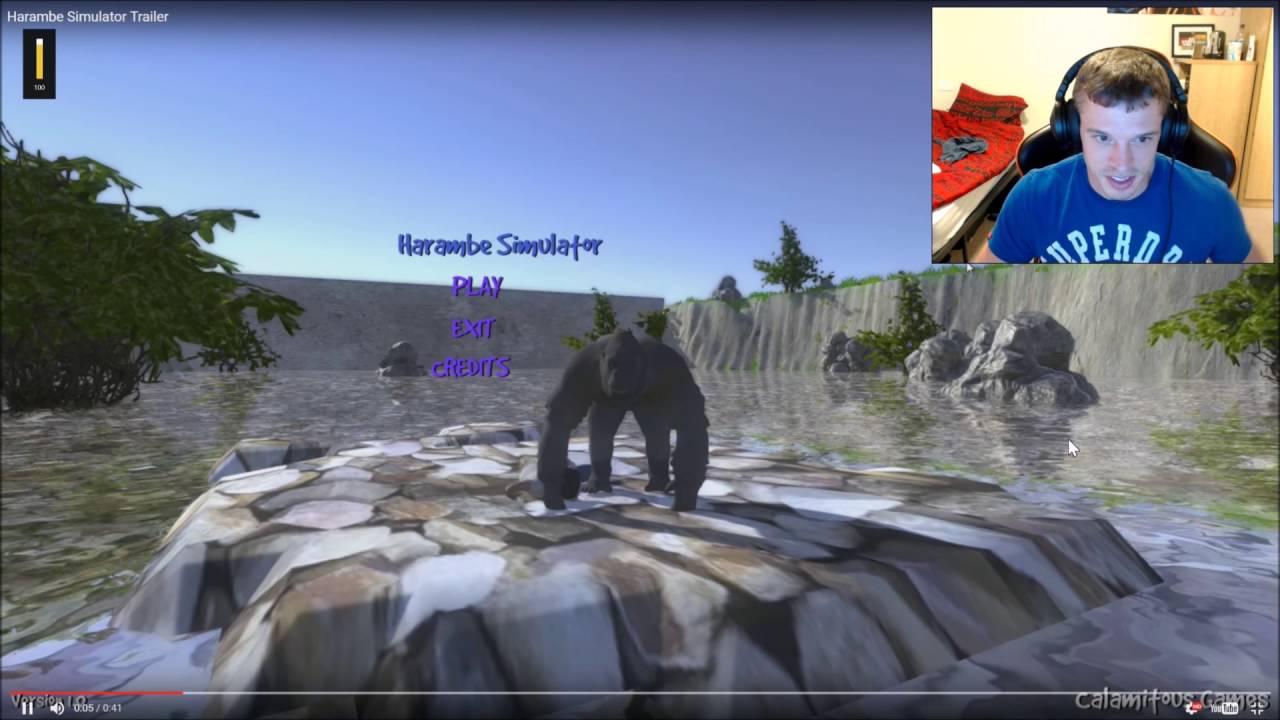 HARAMBE SIMULATOR GAME: Dicks out for Harambe - YouTube
