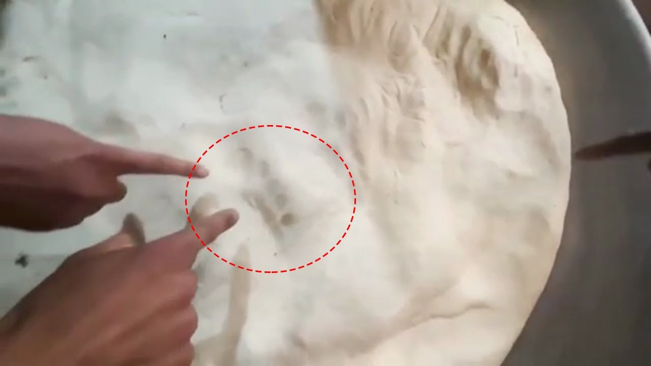 Sopore: Dough Being Knead With Feet, Bread Making Unit Sealed - YouTube