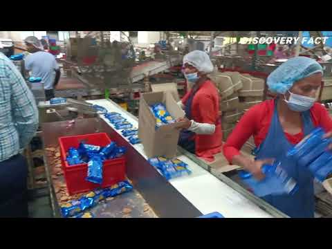 Britannia Biscuit Factory in Pantnagar manufacturer plant #britannia video by discovery fact