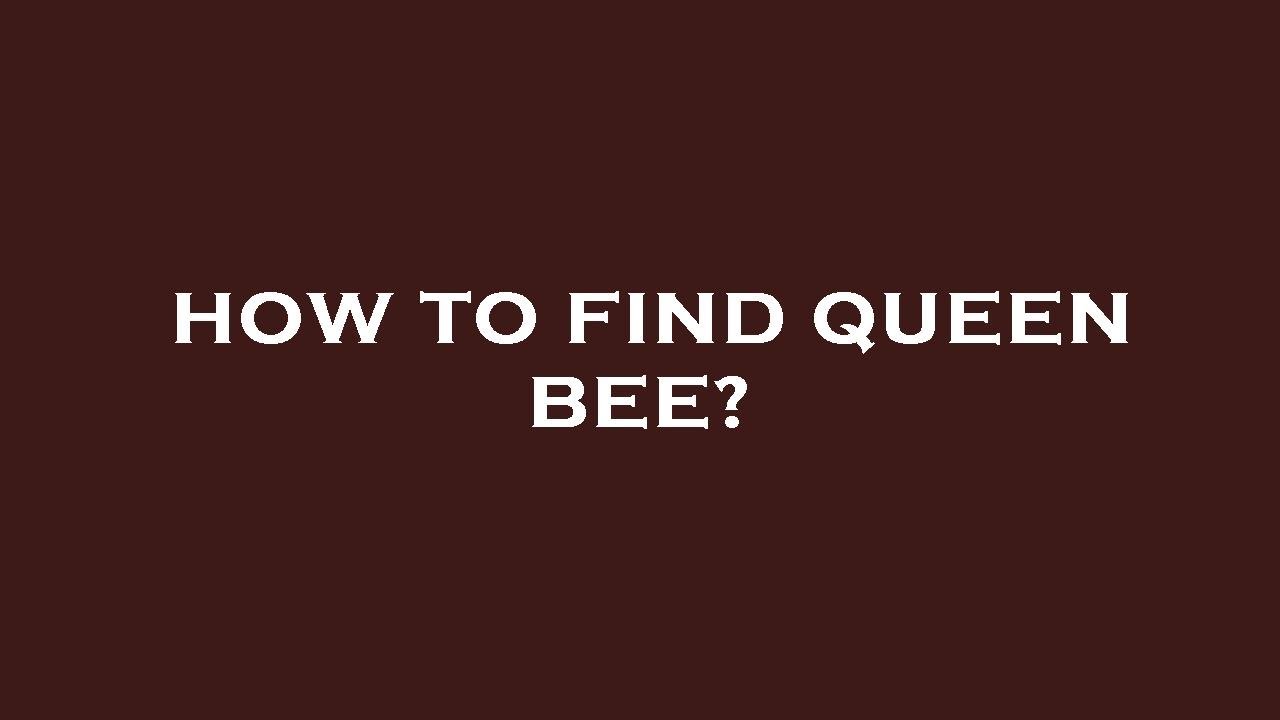 How to find queen bee? - YouTube