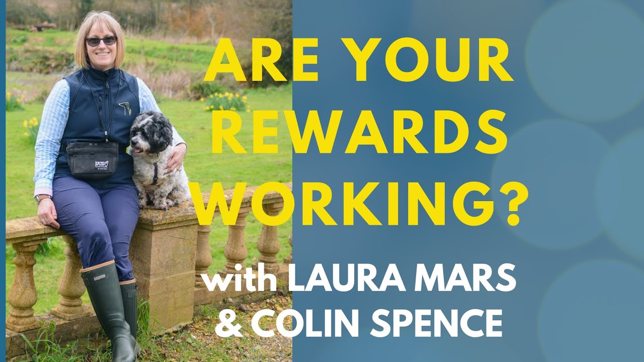 Are Your Rewards Really Rewarding? Laura Mars & Colin Spence on ...