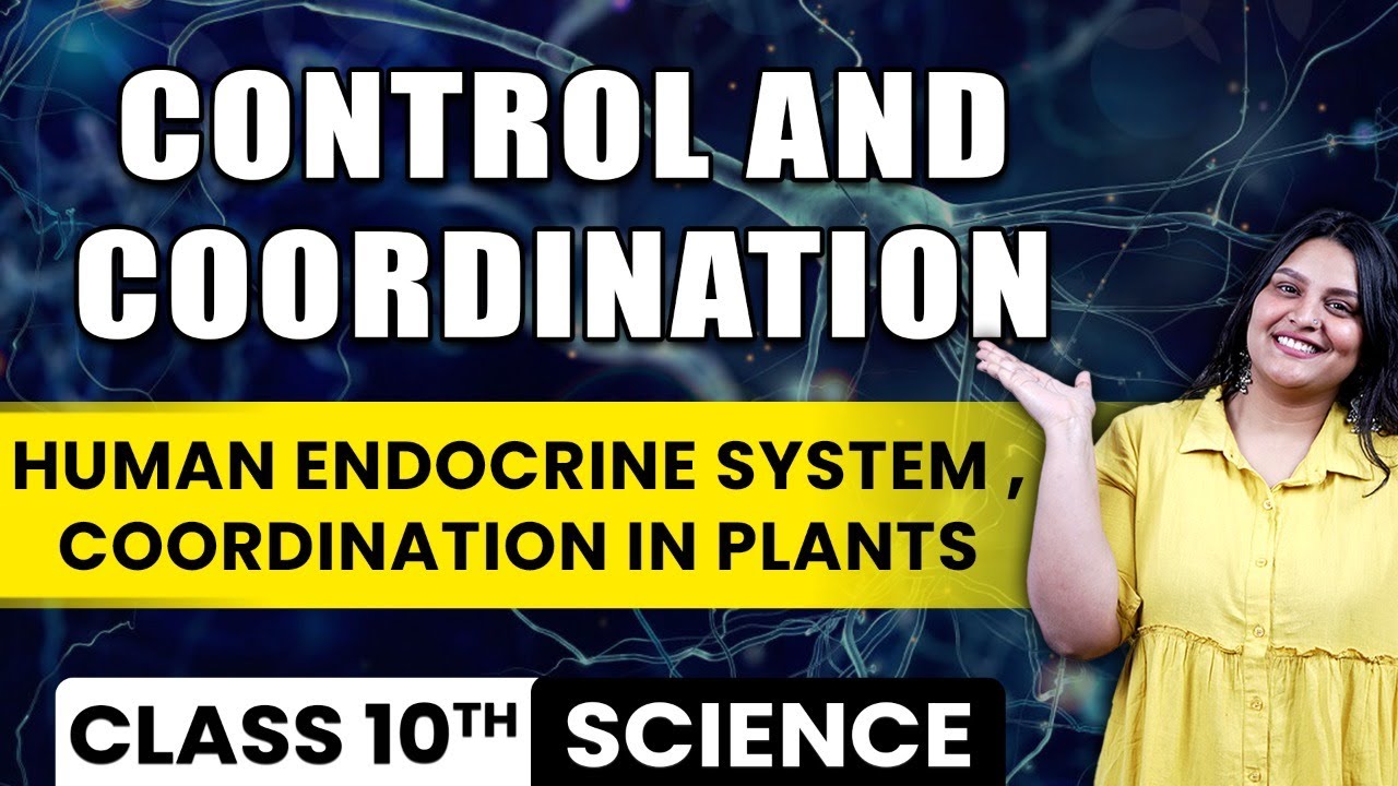 Class 10 Biology Chapter 7 | Control & Coordination | Human Endocrine ...