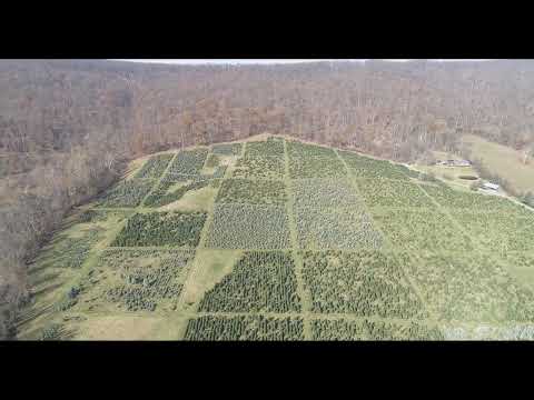 Snickers Gap Christmas Tree Farm - YouTube