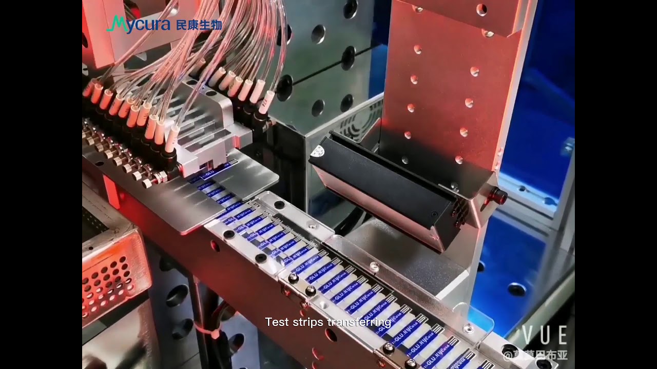 Test strips manufacturing technology - YouTube