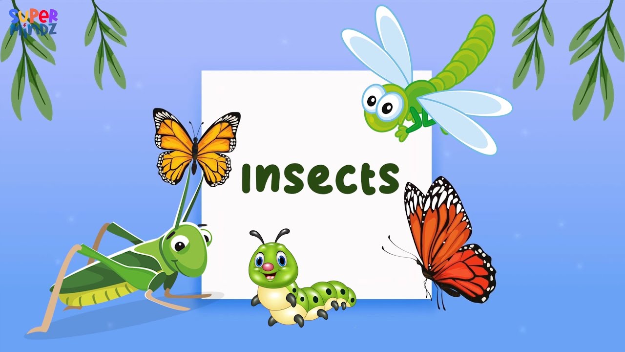 Insects | Learn insects names | Kids vocabulary | For kids | SuperMindz ...
