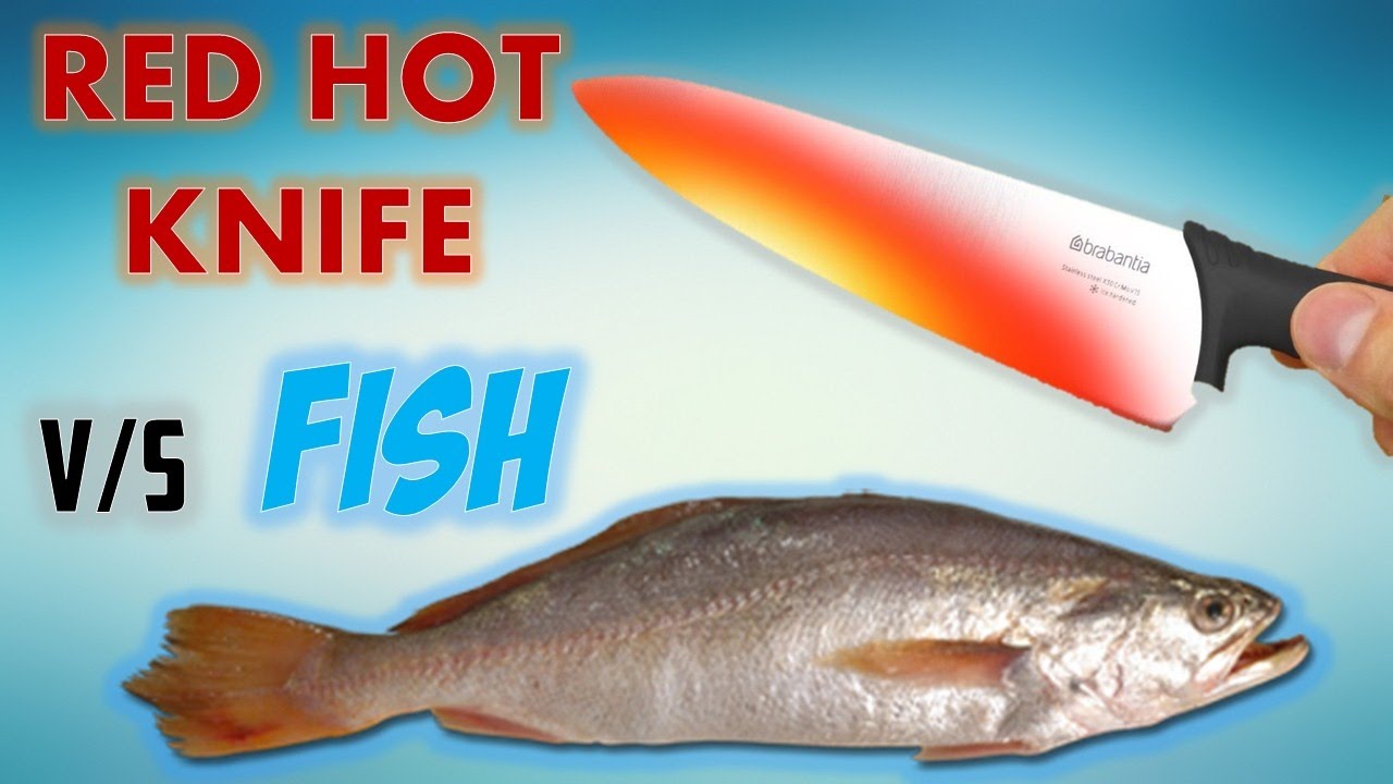 Red Hot Knife v/s FISH!!!!! - YouTube