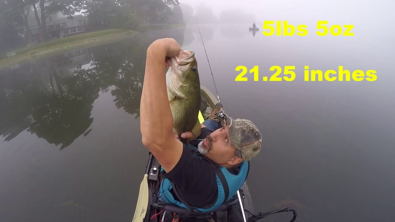 5lb 5oz Largemouth bass caught in MA - YouTube
