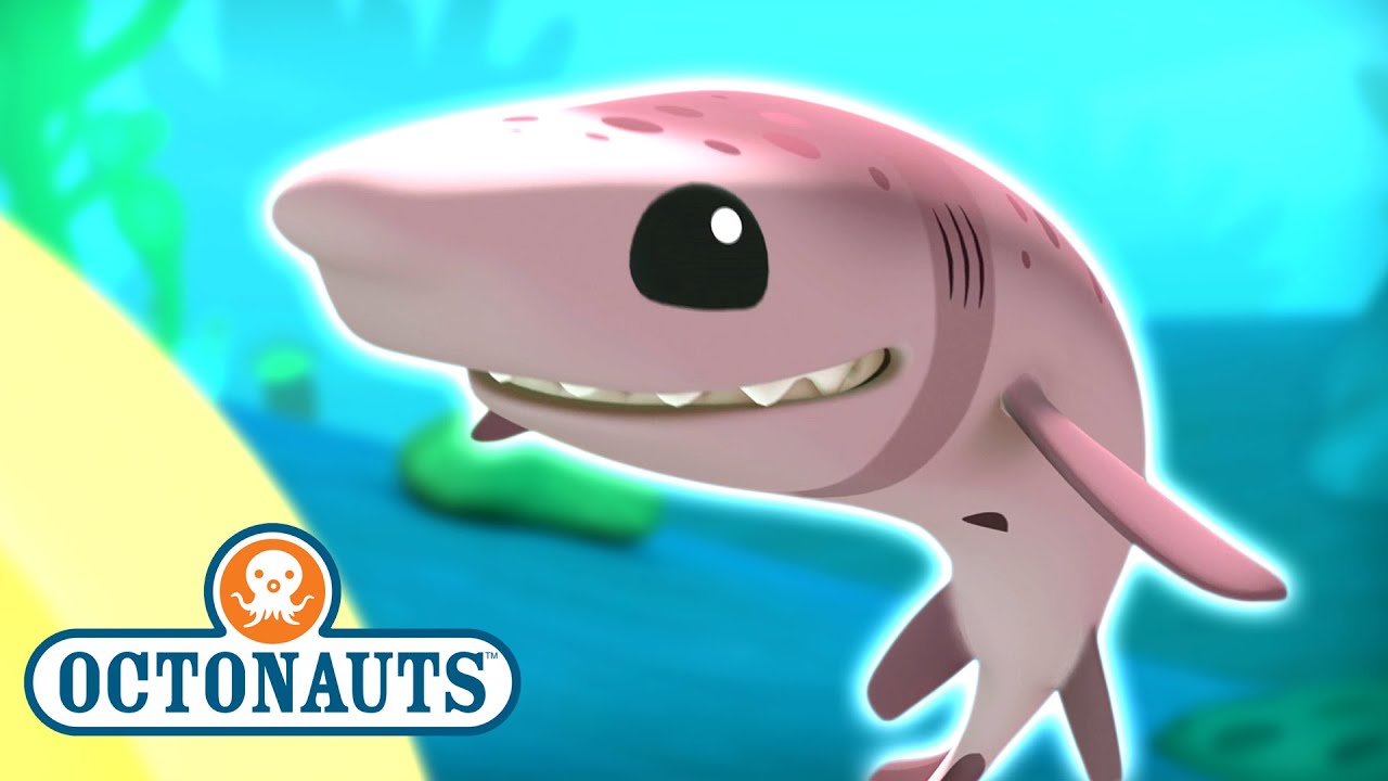 @Octonauts - The Cookiecutter Sharks | Full Episode 39 | @Kidzuko - YouTube