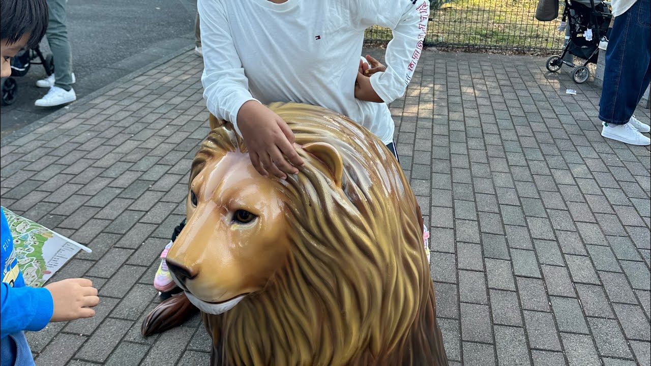 Tough Tama: (Series name) African lions and a bonus of giraffe height ...