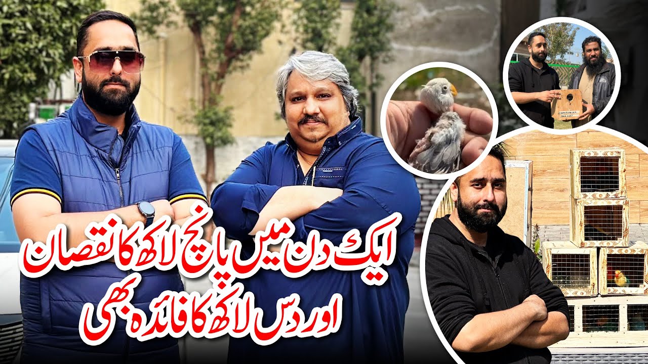 Aik Din Main 5 Lakh Ka Nuqsan Or 10 Lakh Ka Faida - YouTube