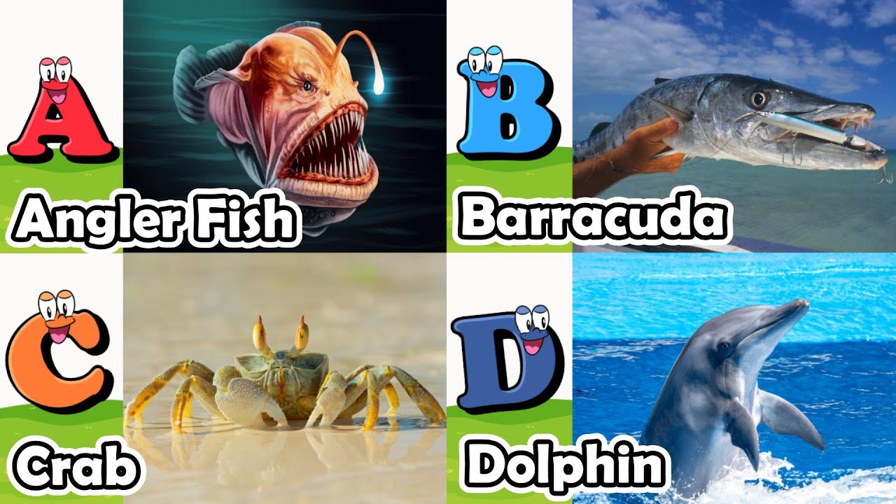 ABC Sea Animals song | Learn Alphabets | English and Animals for Kids ...