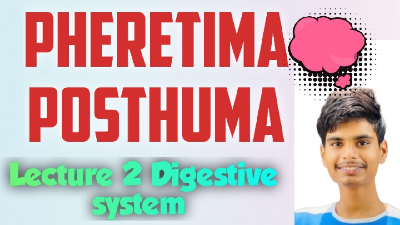 Pheretima posthuma ||Digestive system||BSc Life Science||BSc Zoology ...