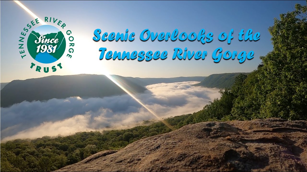 Scenic Overlooks of the Tennessee River Gorge - YouTube